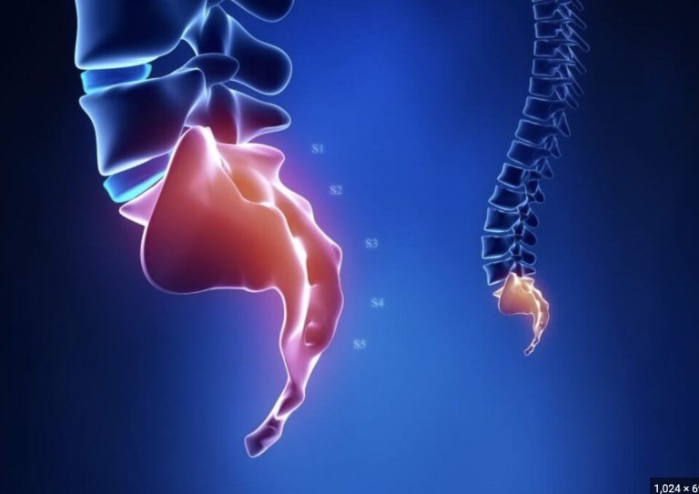 Coccydynia - Home Physio 247